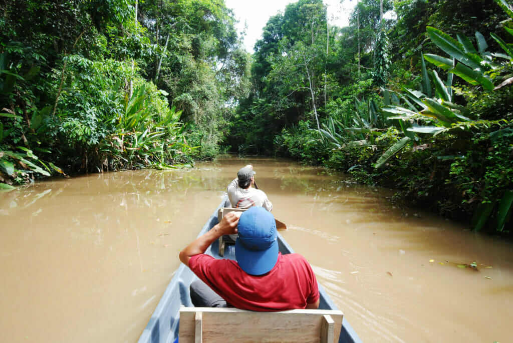 Reserva de Biosfera Yasuní: 3 Días | 2 Noches – Amazon Travel Tours